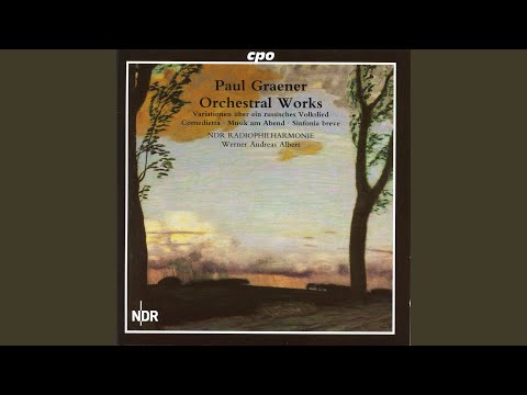 Musik am Abend, Op. 44: II. Larghetto