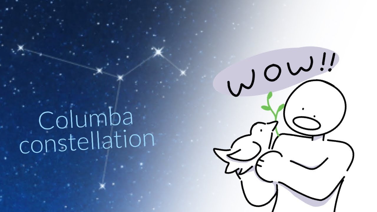 Columba Constellation (astronomy project)