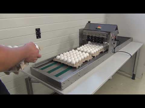 Nuovo Egg Stamper - Easy Stamp BAN5