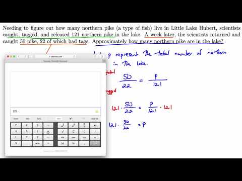 MTH 60 (§2.3, v13) Proportion Application Problem