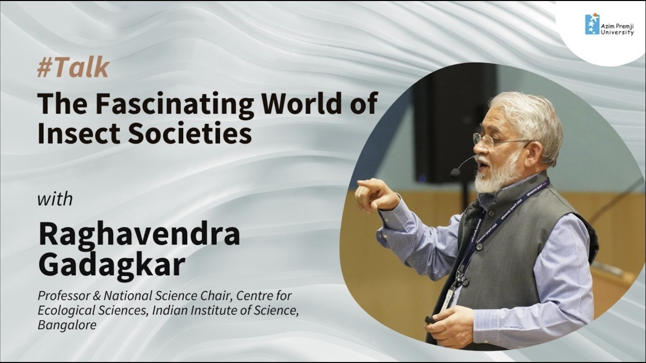 Talk: The Fascinating World of Insect Societies