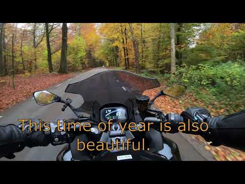 Kawasaki Ninja 1000SX. Autumn is beautiful red!