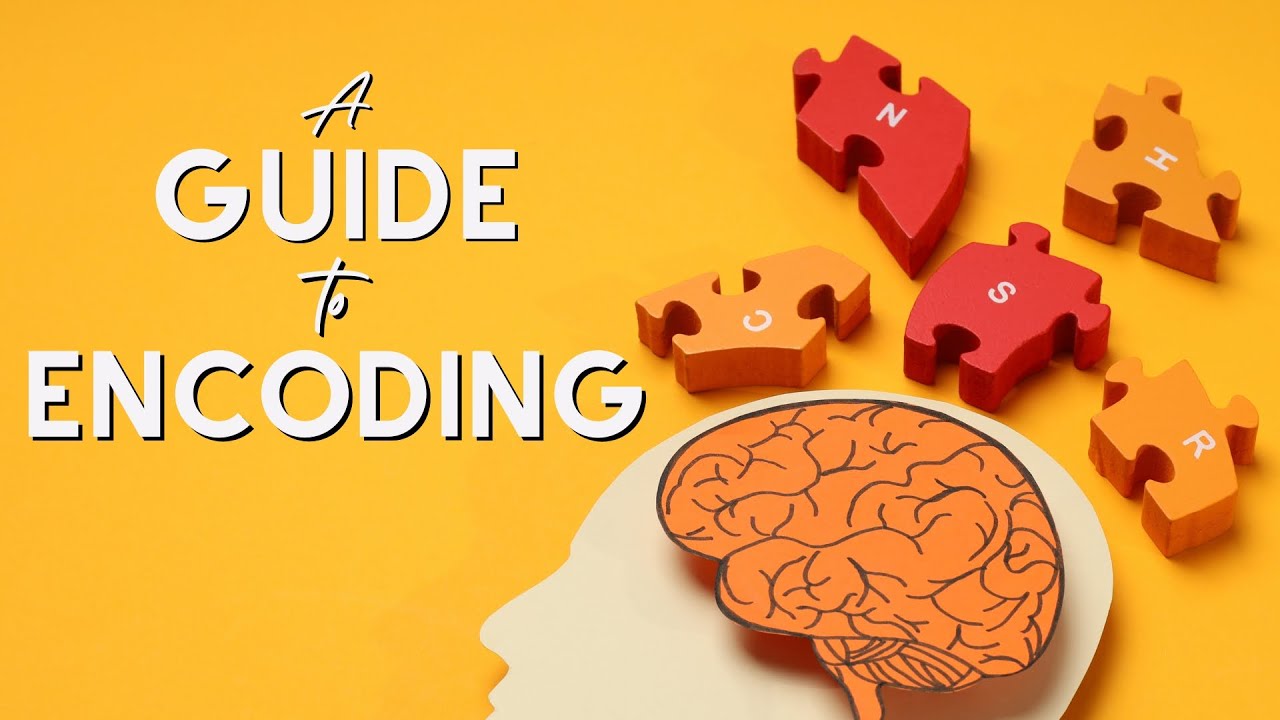 Understanding the Science of Memory: What Makes Something Memorable ...