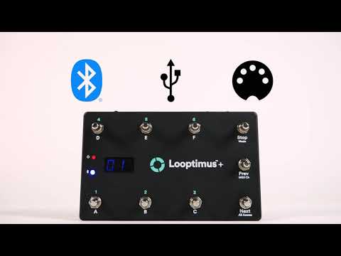 Loop Community Looptimus + (Plus) - Black | Reverb