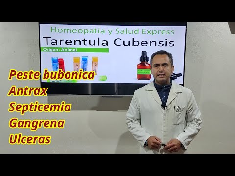 Tarentula Cubensis, Homeopatia y salud express – Centro para el ...