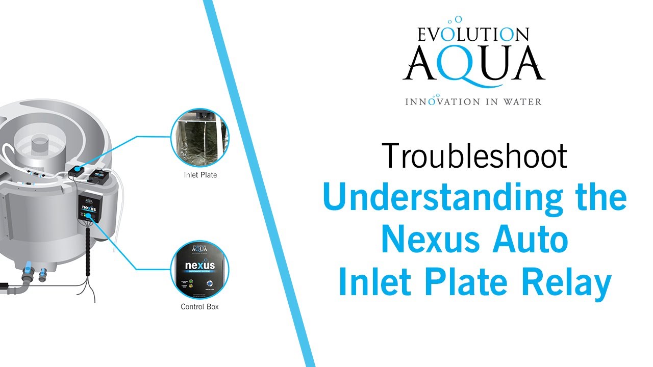 Understanding the Nexus Automatic Inlet Plate Relay - AZPonds & Supplies
