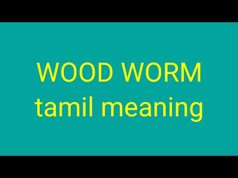 WOOD WORM tamil meaning/sasikumar