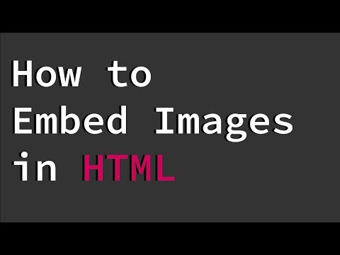 Embed Images in HTML for Beginners | How to Code Lesson 4 - HTML Images