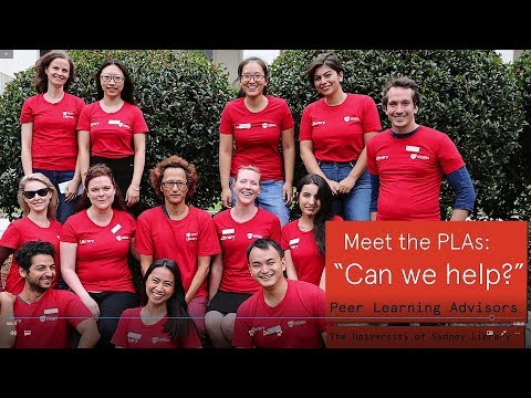 Peer Learning Advisors