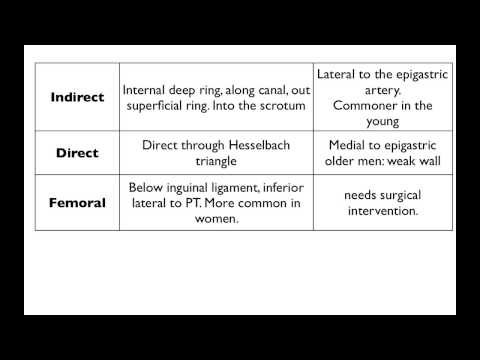 Anatomy - hernias