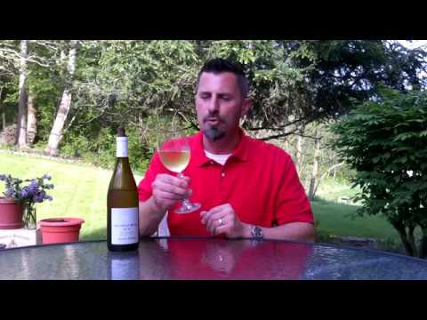 Sauvignon Blanc - Know Wine In No Time