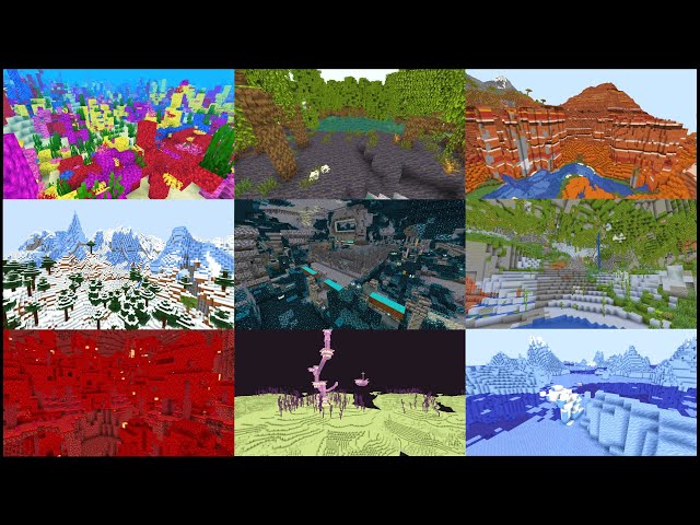 What is single biome world in Minecraft