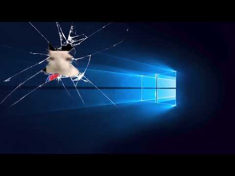 Cat Eating Chips In Windows 10 screen (1920x1080) no black bars