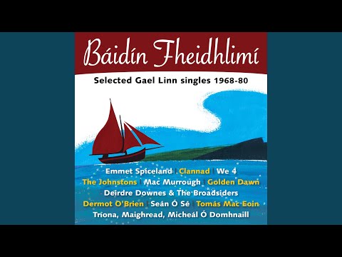 Báidín Fheidhlimí