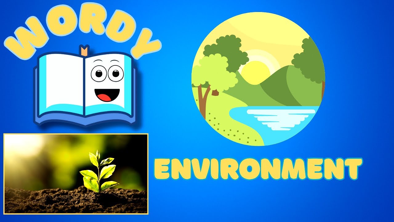 What is the Environment? 🌎 | Fun Learning for Kids!