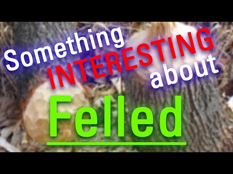How Does Felled Look? | How to Say Felled in English? | What is Felled?