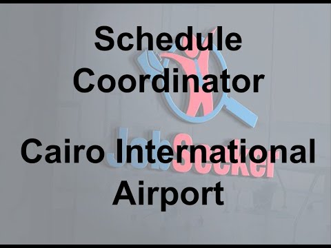 Schedule Coordinator Cairo International Airport #shorts #trending #youtubeshorts #short #shortvideo
