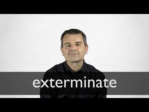 EXTERMINATE definition and meaning | Collins English Dictionary