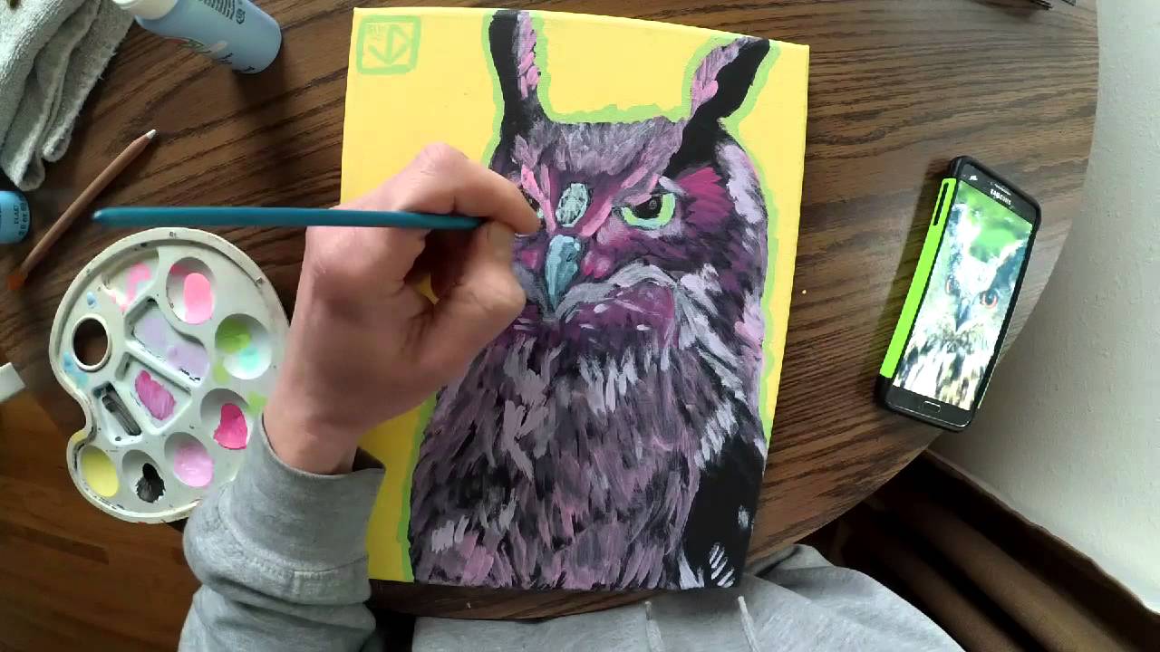 Wise Owl Timelapse