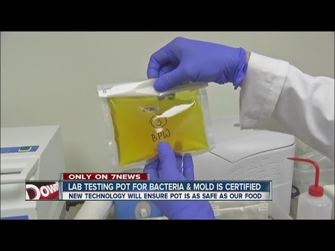 Local lab certified to test pot for bacteria, mold