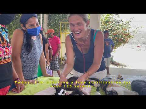 Learn More about the humane spay/neuter campaigns by Dogs of Puerto Angel, Mexico