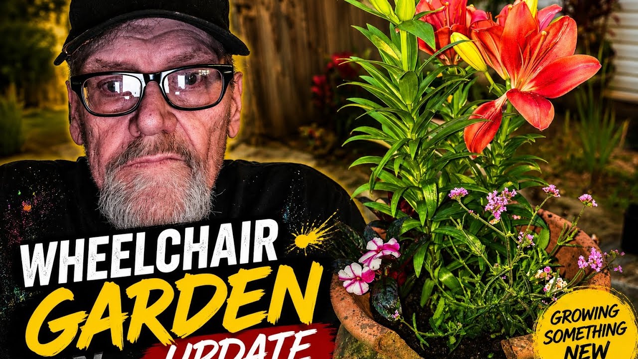 Life Outside The Studio | Wheelchair Garden Update