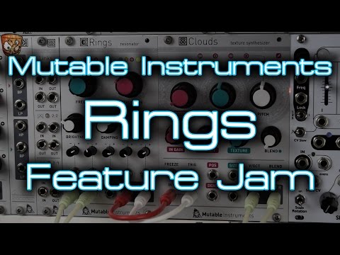 Mutable Instruments Rings iMuso