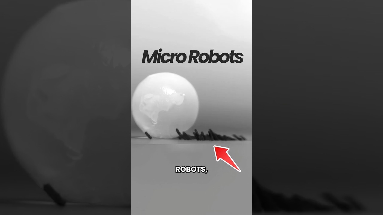 Micro Robots