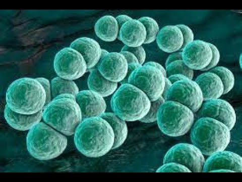 2 17 23 Pneumococcal vaccination: What a Dialysis Provider Needs to Know