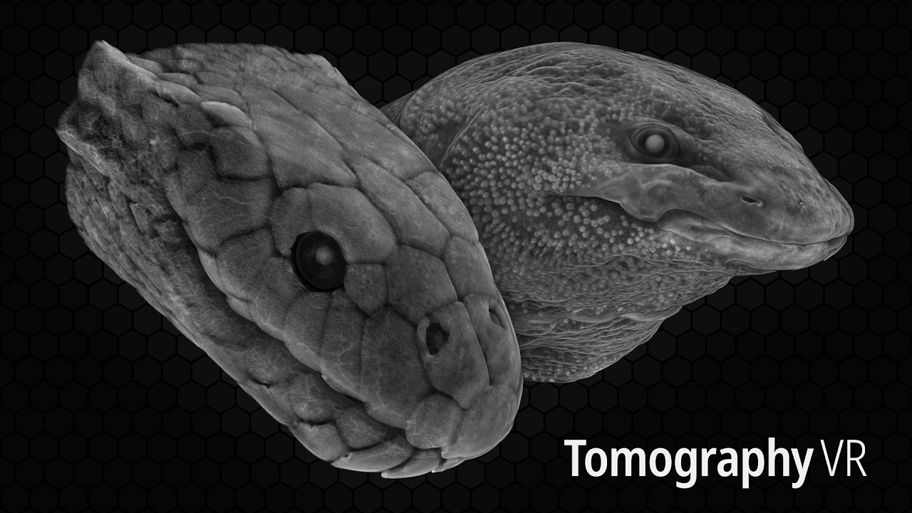 Tomography VR Trailer