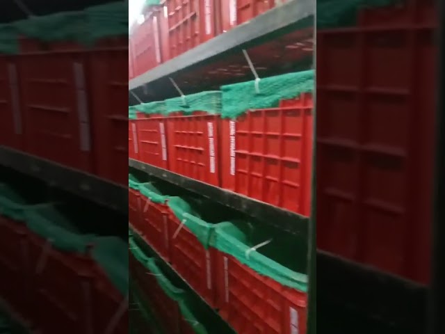 Solid Waste Management - 3Phase Organic Waste Composter Service ...