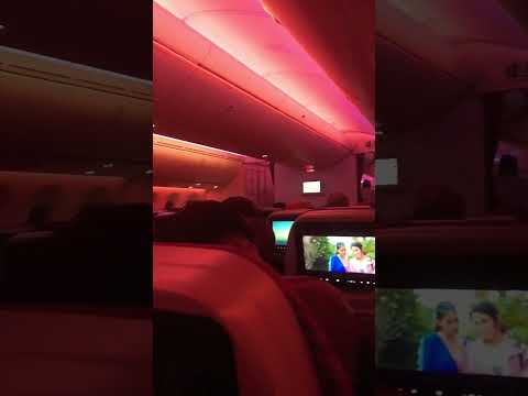 Inside View Qatar Airlines Part 2 #inside #view #qatar2022 #qatarairways #qatar #airlines #plane#fly