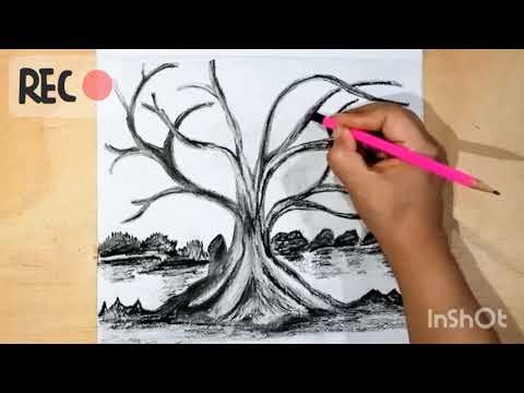 How To Draw Old Autumn Tree Sketch (Without leaves) | Sketching tutorial | Sketching Art School