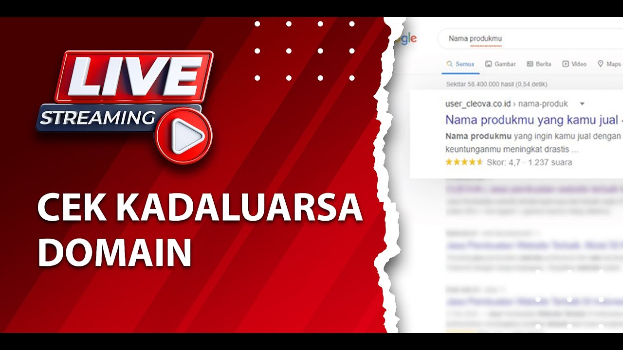 Cara cek tanggal kadaluarsa domain