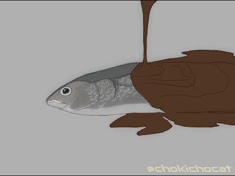 Steam Community :: Video :: le fish au chocolat