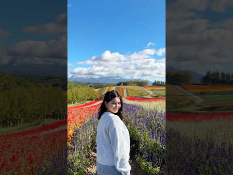 Offbeat japan! #hokkaido #japan #travel #traveldestinations