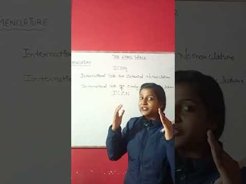 Nomenclature (ICBN and ICZN)