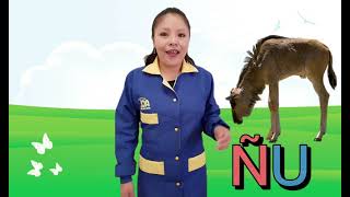 Objetos que Empiezan con la Letra N: De Naranja a Nave Espacial - Educatics