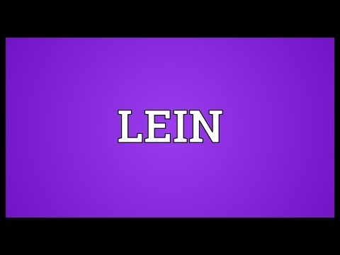 LEIN Meaning