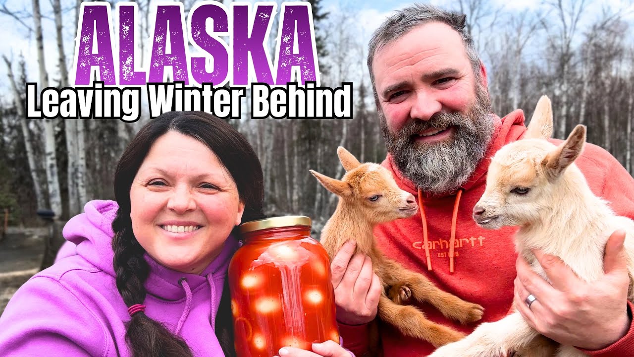 Long Alaskan Winter is Finally Over at the Off Grid Cabin 
