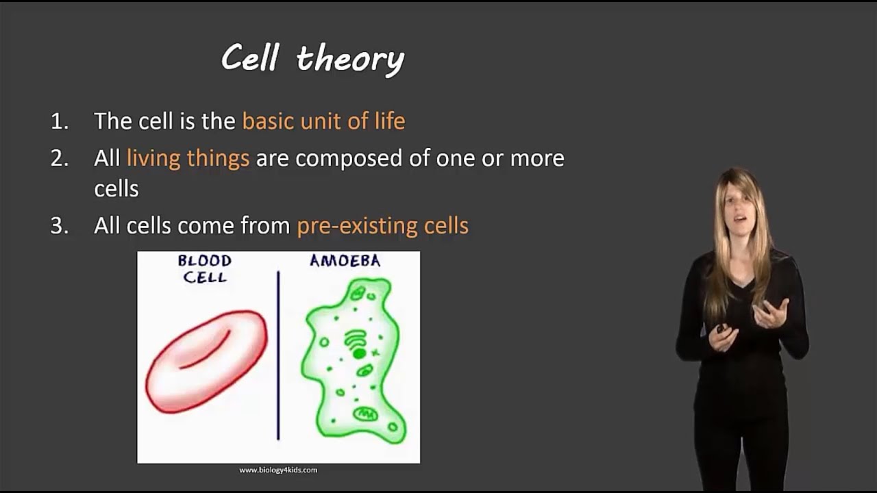 Cell theory