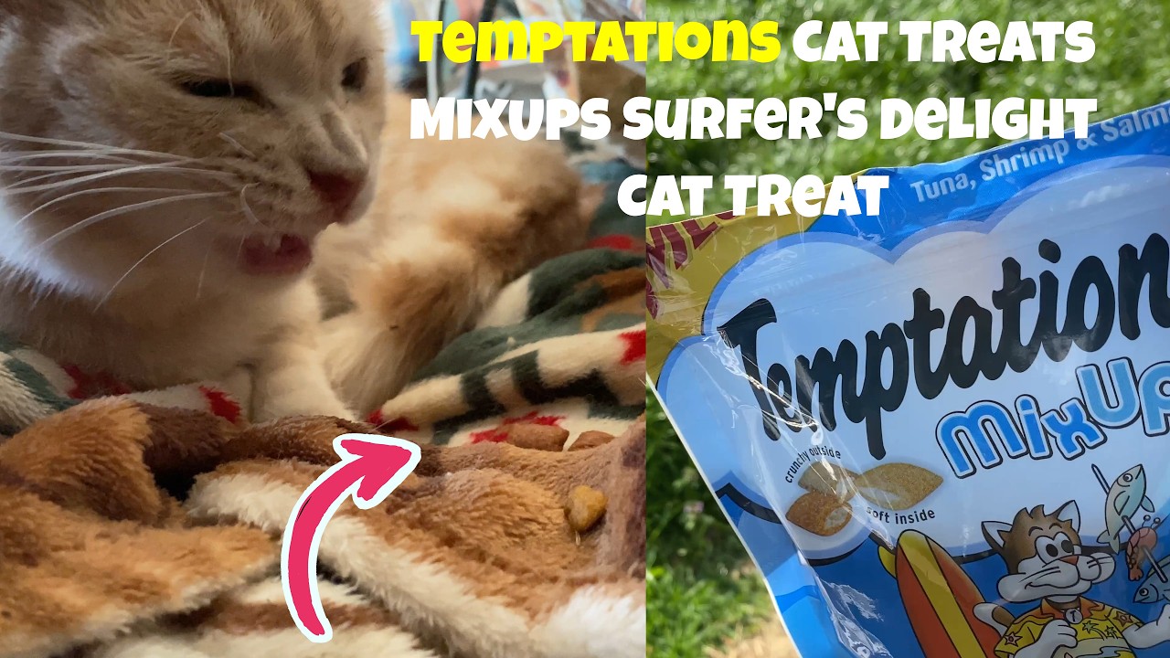 Temptations MixUps Surfer's Delight Cat Treats Tested 🐈 @RadFelines