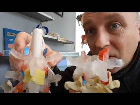 Crepitus, Sound and Manipulation - Joint Science