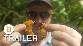 We’re Headed Toward A Thanksgiving Brimming With Insects. Here Are The ...