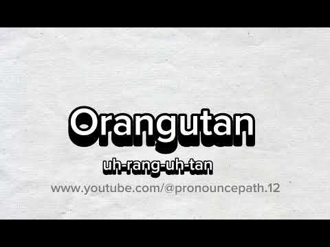 How to pronounce orangutan
