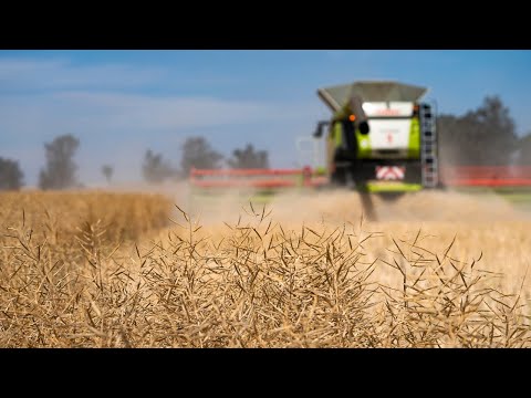 Harvester Forum: Park 6/8 | How to set-up for effective harvest weed seed control
