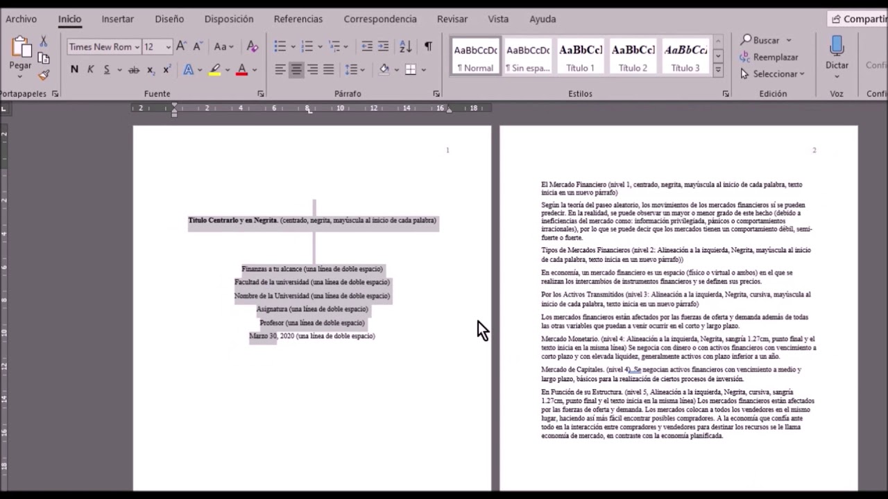 Normas Apa 7ma Septima Edicion 2021 Plantilla Resumen Manual Formato En ...