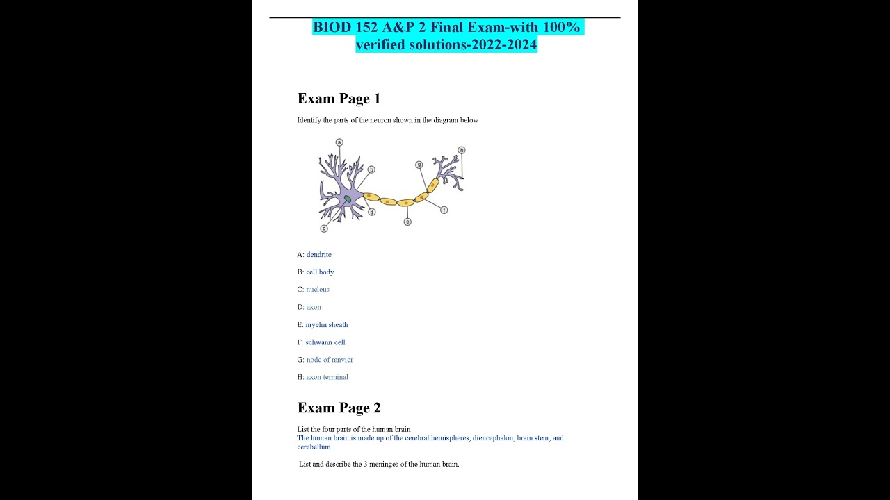 BIOD 152 A&P 2 Final Exam With 100% Verified Solutions 2022/2024
