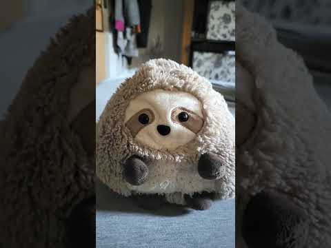 the cutest sloth toy in the world
