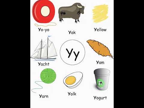 Y letter Words